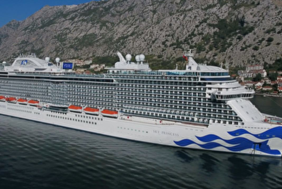 Woman dies after attempting to jump overboard