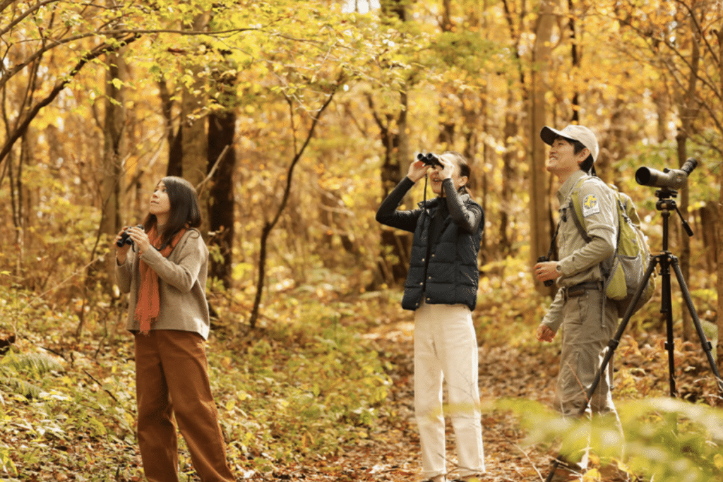 8 sustainable wildlife experiences for intrepid explorers - WWF ...