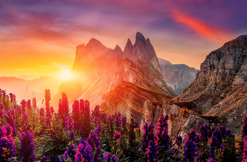 Exodus Travels’ RCGS Quests are Back with New Line-Up of Adventurer-Led ...