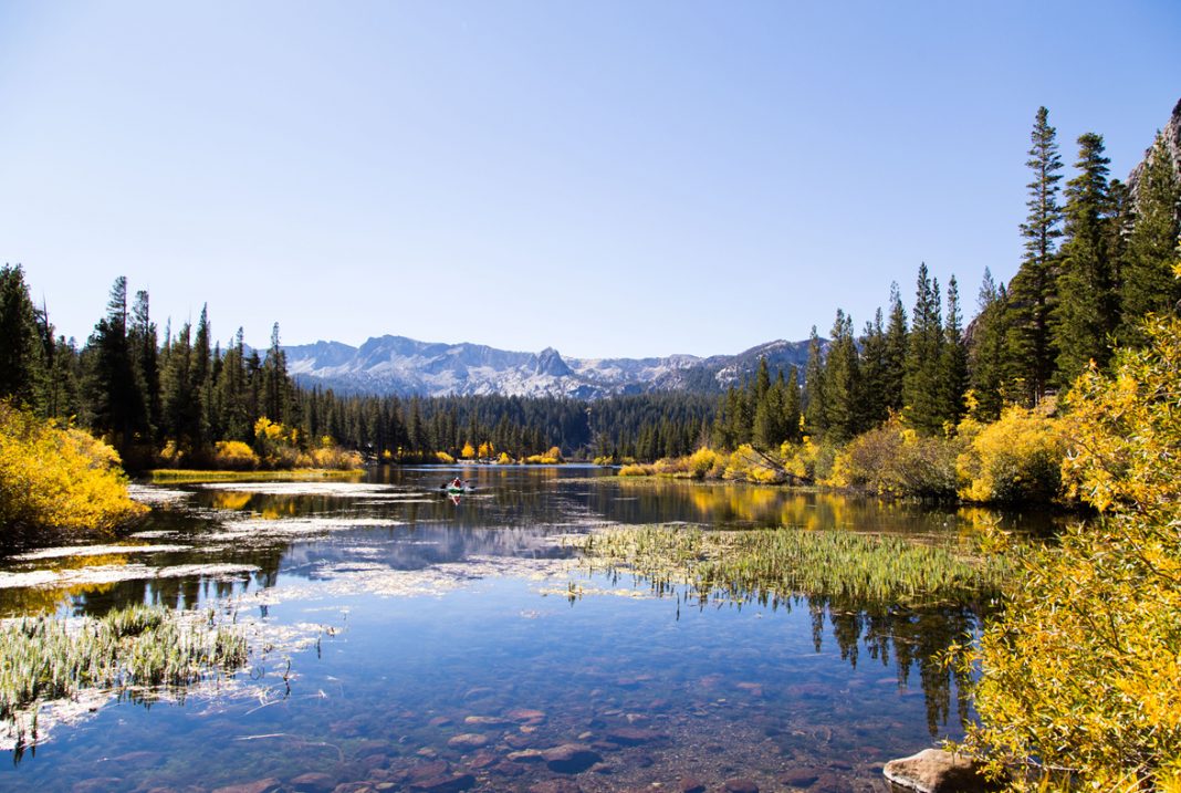 Colorado fall foliage and adventure