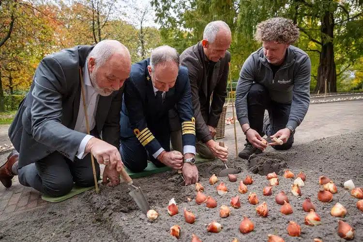 Holland America Line unveils exclusive tulip to celebrate Dutch ...