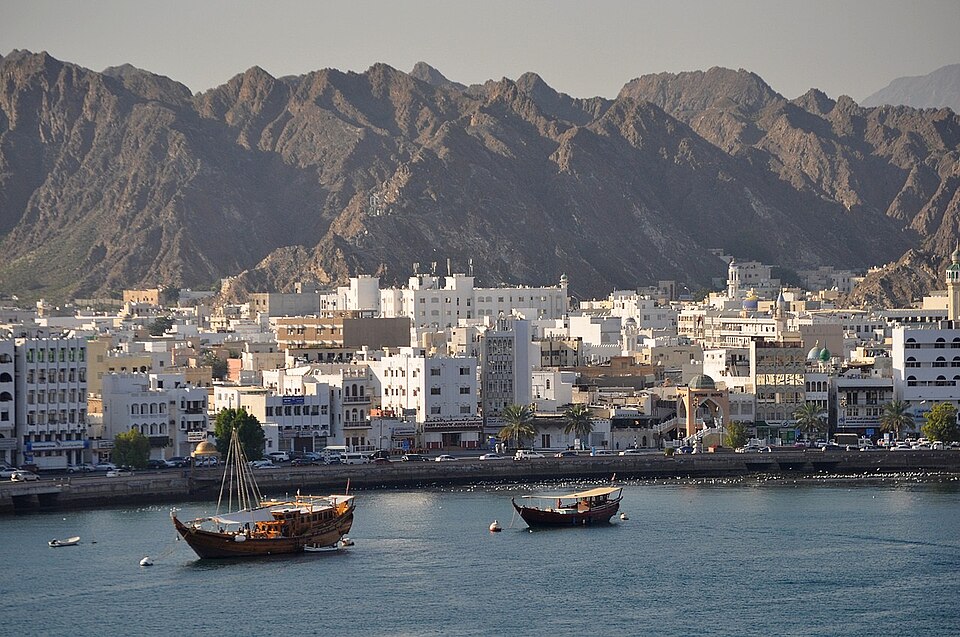 French tourists die after Oman boat capsizes